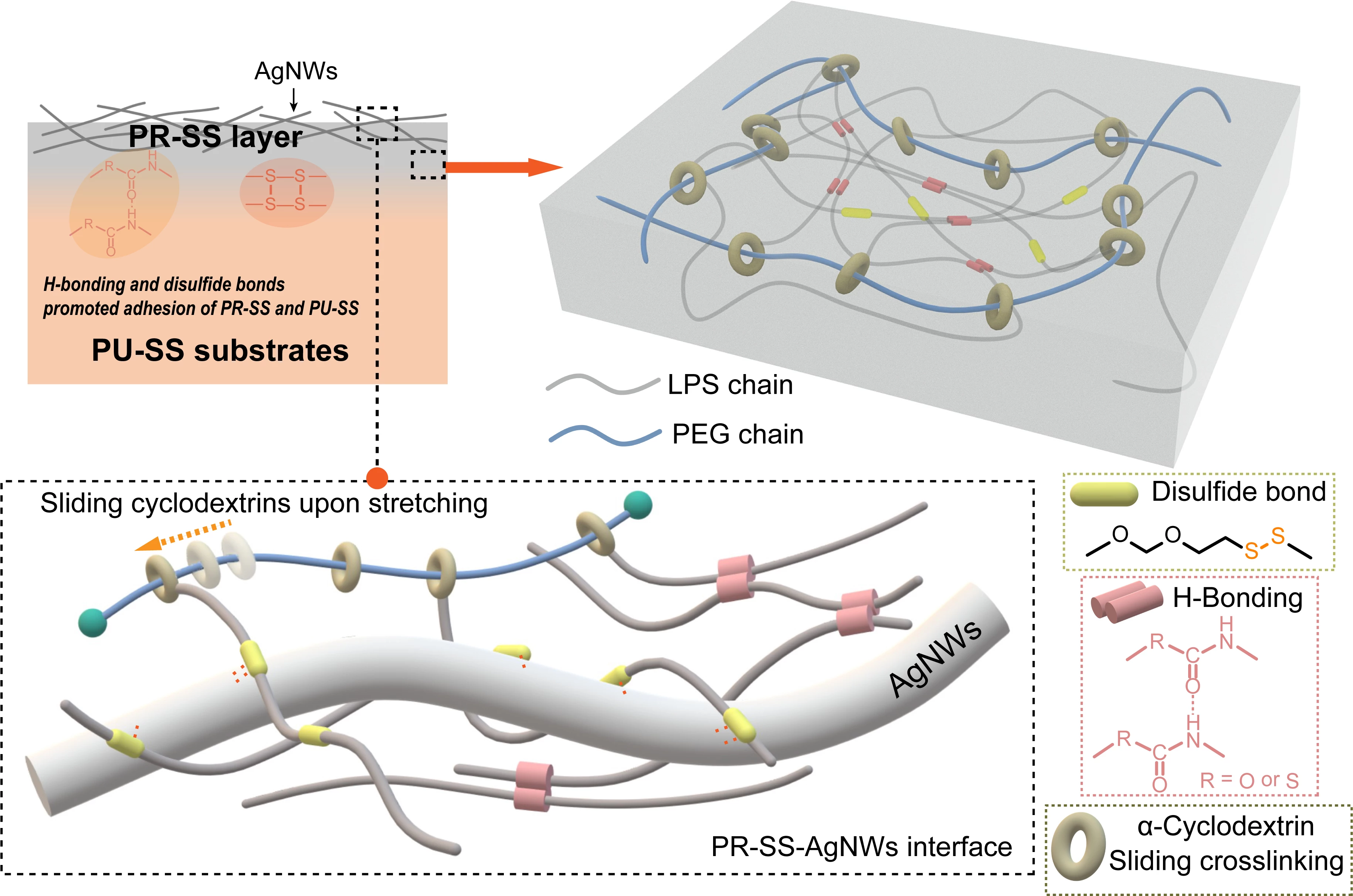 Stretchable conductors based on the molecular pulley and their ...