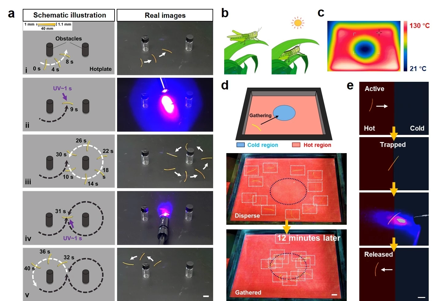ACS Spring 2024 - Current & Upcoming Schedule - American Chemical Society