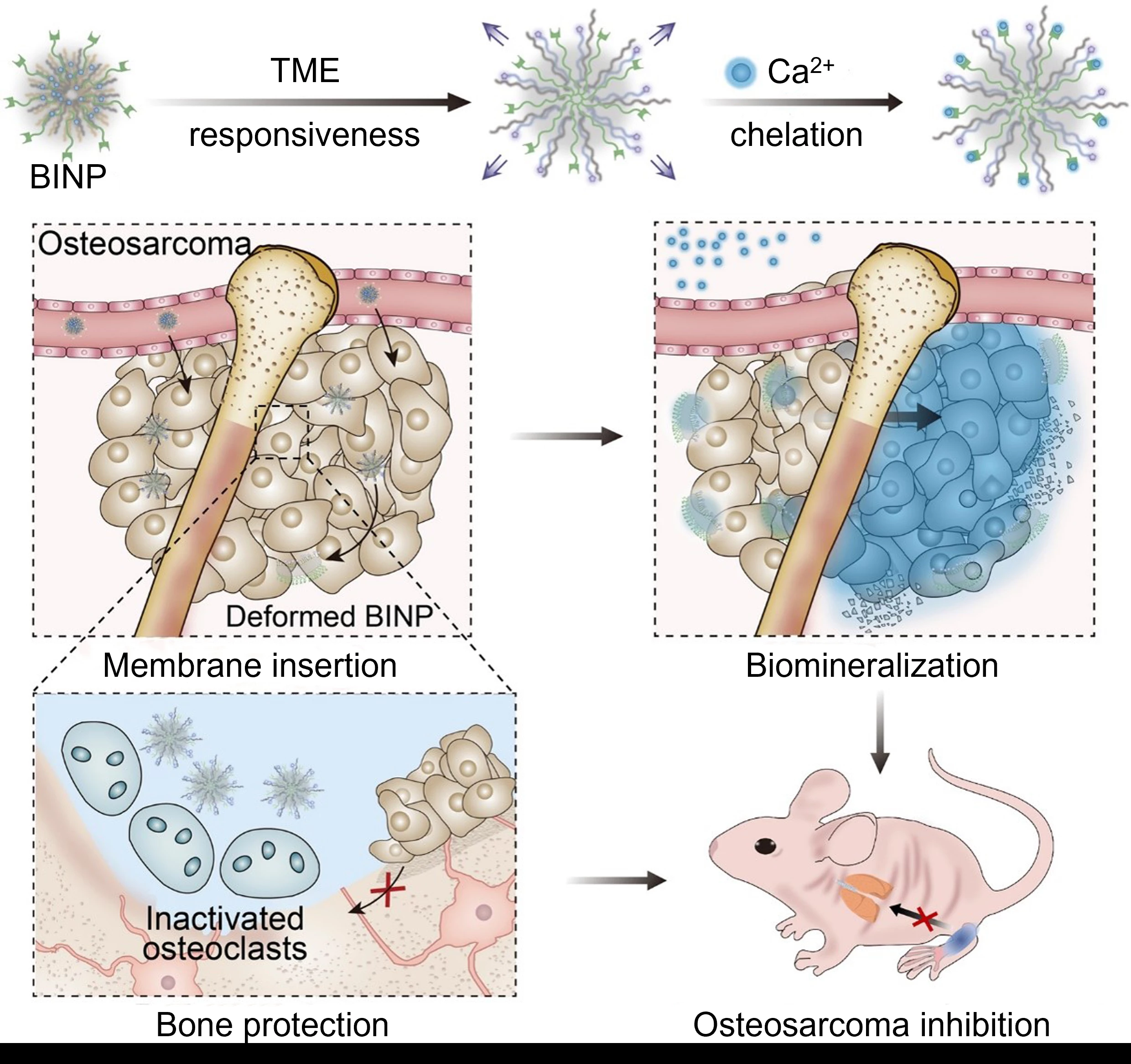 ACS Spring 2024 - Current & Upcoming Schedule - American Chemical Society