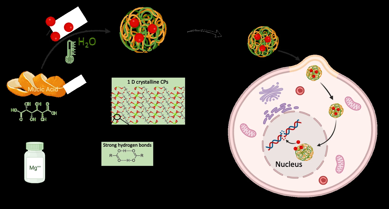 ACS Spring 2024 - Current & Upcoming Schedule - American Chemical Society
