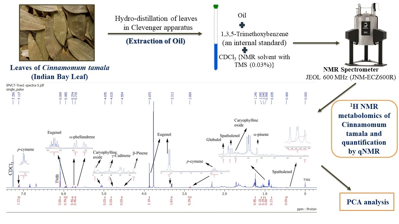 ACS Spring 2024 - Current & Upcoming Schedule - American Chemical Society