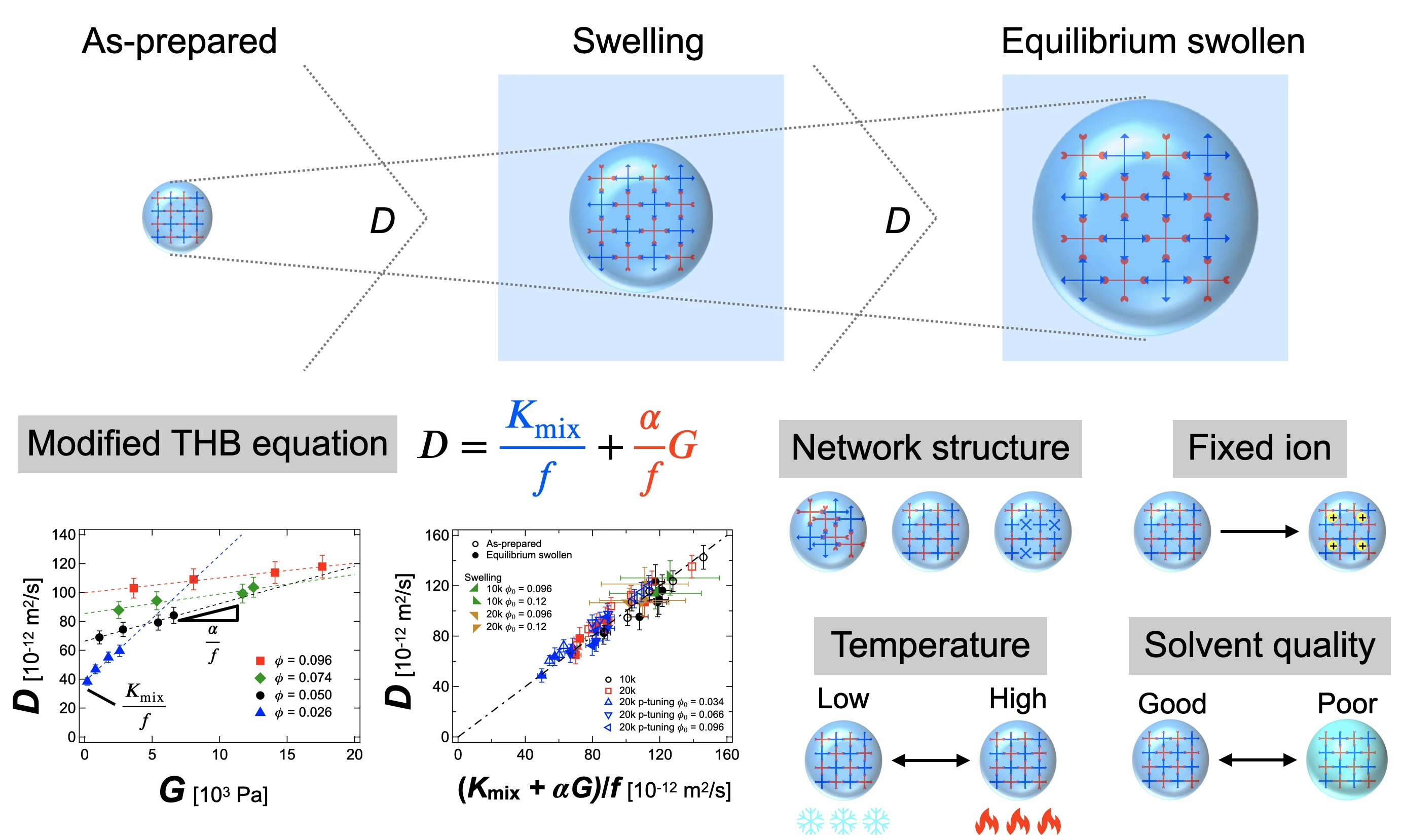 Systematic and clear discussion about the polymer gel dynamics using ...