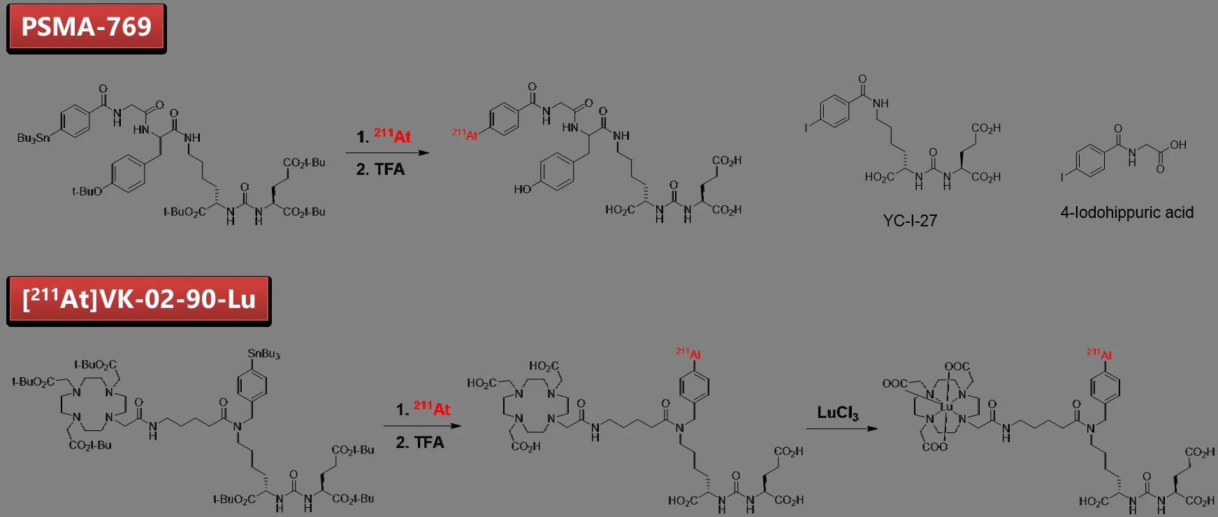 Synthesis of low-renal-uptake 211At-labeled PSMA inhibitors ...