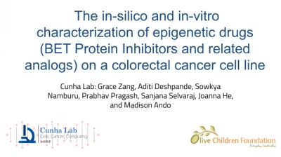 The in-silico and in-vitro characterization of epigenetic drugs (BET ...