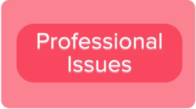 professional issues