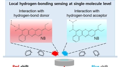 Development of nanoscale hydrogen-bonding sensing method using single-molecule spectroscopic ...