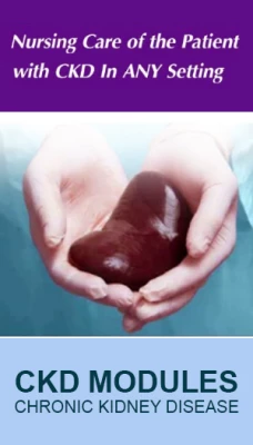 CKD Modules - Chronic Kidney Disease: Nursing Care of the Patient with ...
