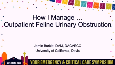 RECOVER 2.0: BLS and ALS Algorithm - Veterinary Emergency and Critical ...