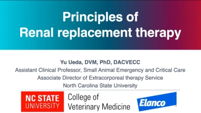Baroreceptors and Baroreceptor Reflex - Veterinary Emergency and ...